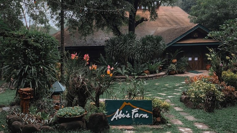 Abe's Farm | Resort Swimming Pool