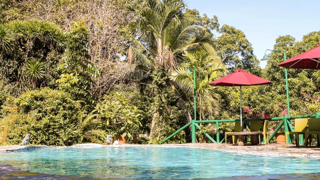 Abe's Farm | Resort Swimming Pool