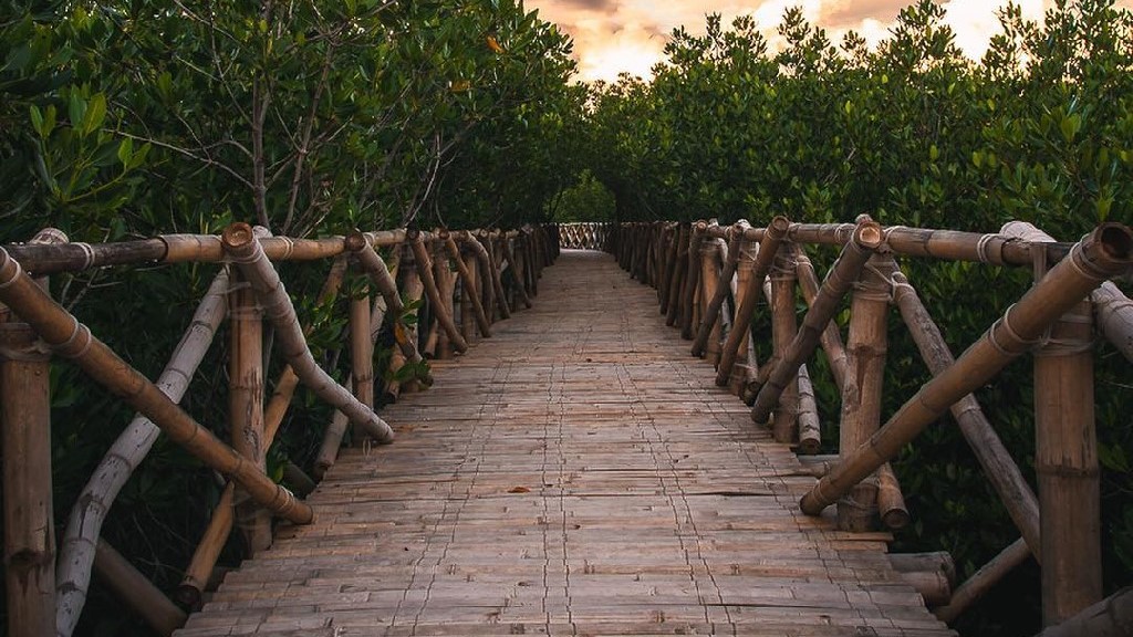 North Zen Villas | Resort Swimming Pool