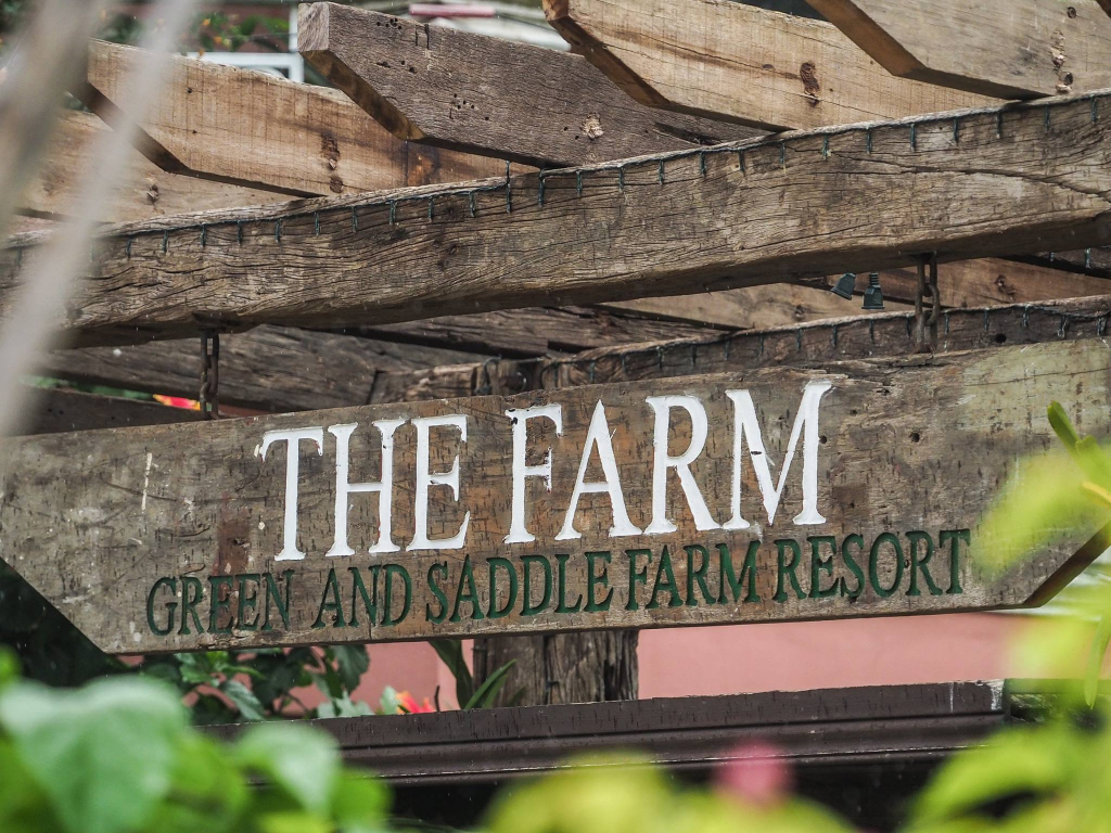 The Farm Green and Saddle Resort | Resort Swimming Pool